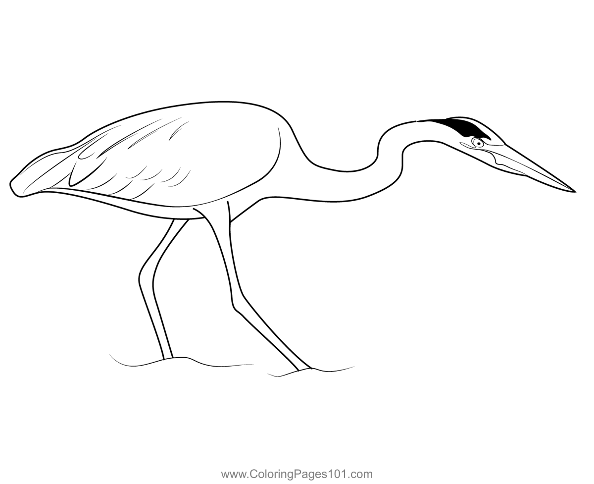 Heron Bird Coloring Page for Kids - Free Herons Printable Coloring ...