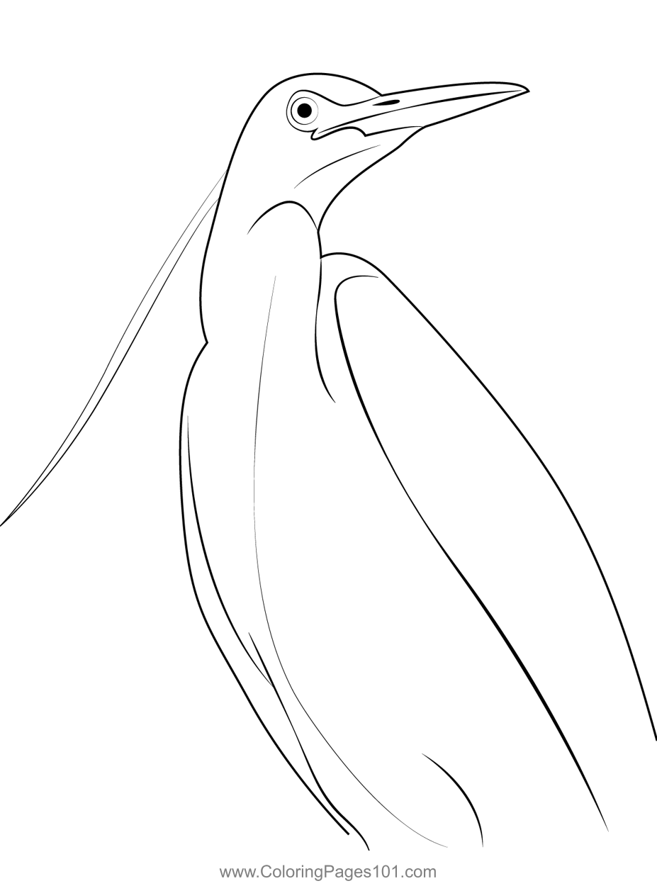 Heron Close Up Coloring Page for Kids - Free Herons Printable Coloring ...