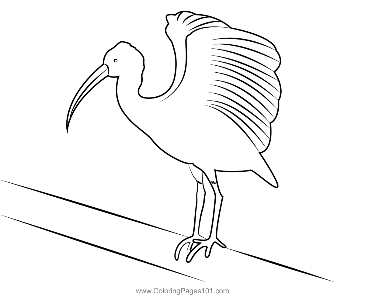 Heron Spreading Wings Coloring Page for Kids - Free Herons Printable ...