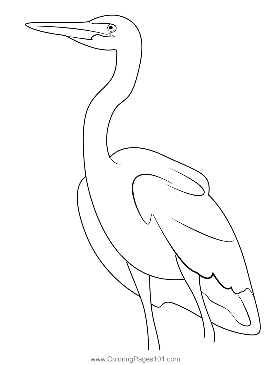 Free Heron Coloring Pages Sketch Coloring Page