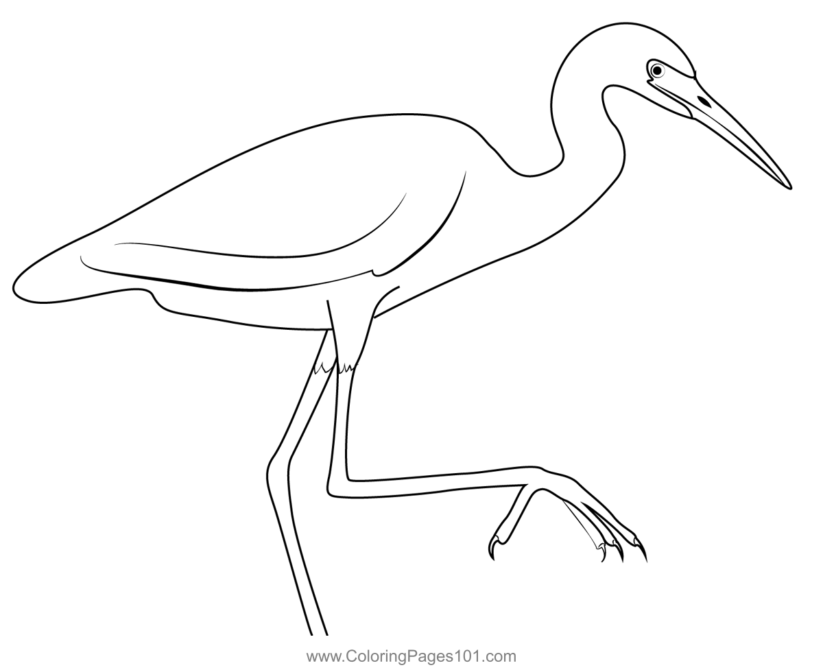 White Little Heron Coloring Page for Kids - Free Herons Printable ...