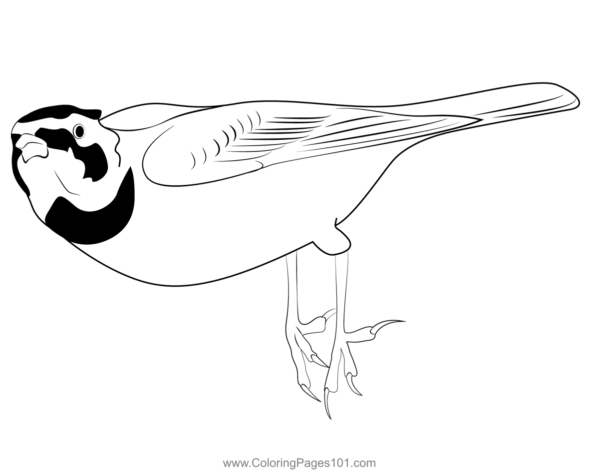 Horned Lark Fly Coloring Page for Kids - Free Larks Printable Coloring ...