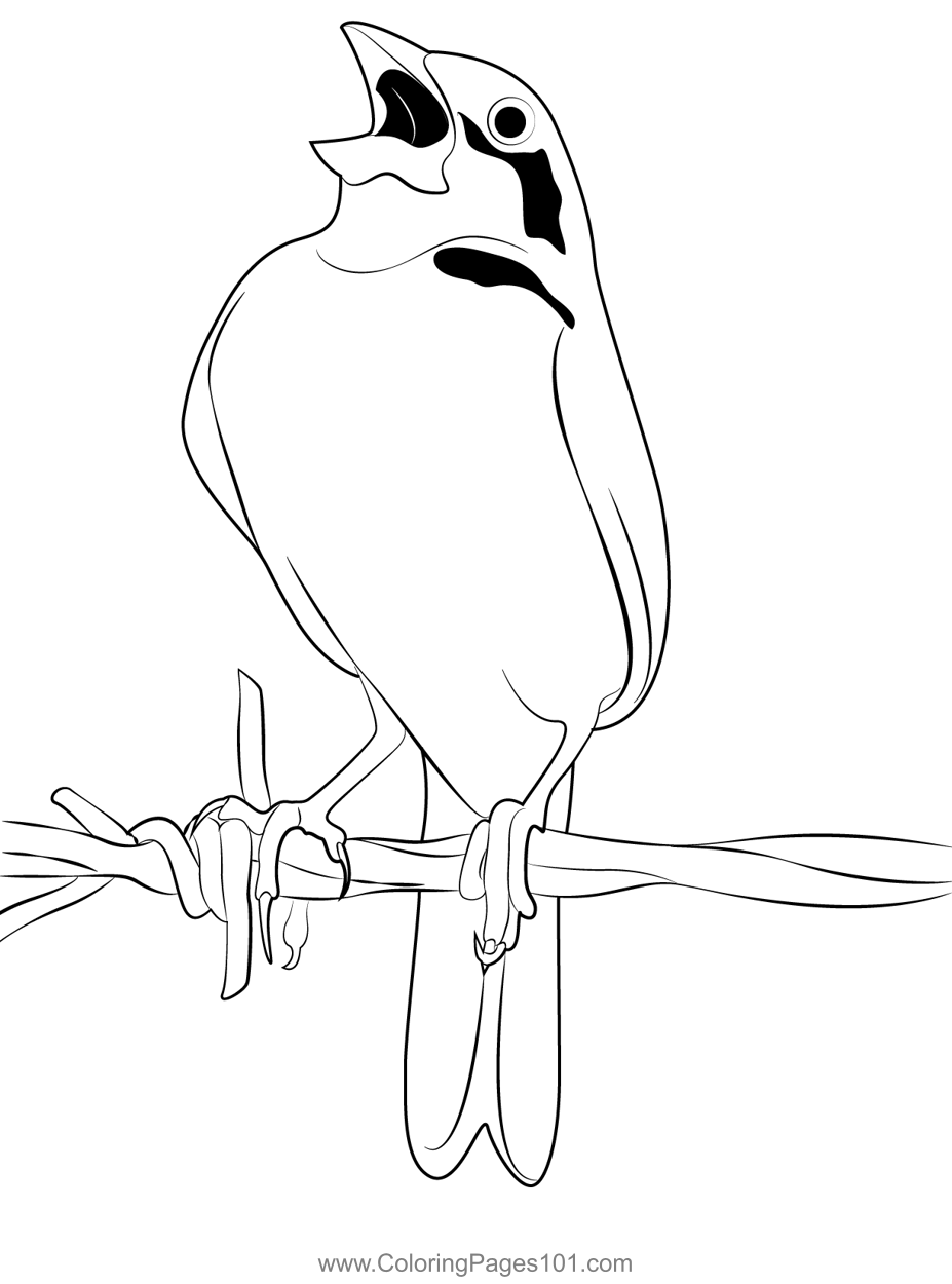 Horned Lark Singing Coloring Page for Kids - Free Larks Printable ...