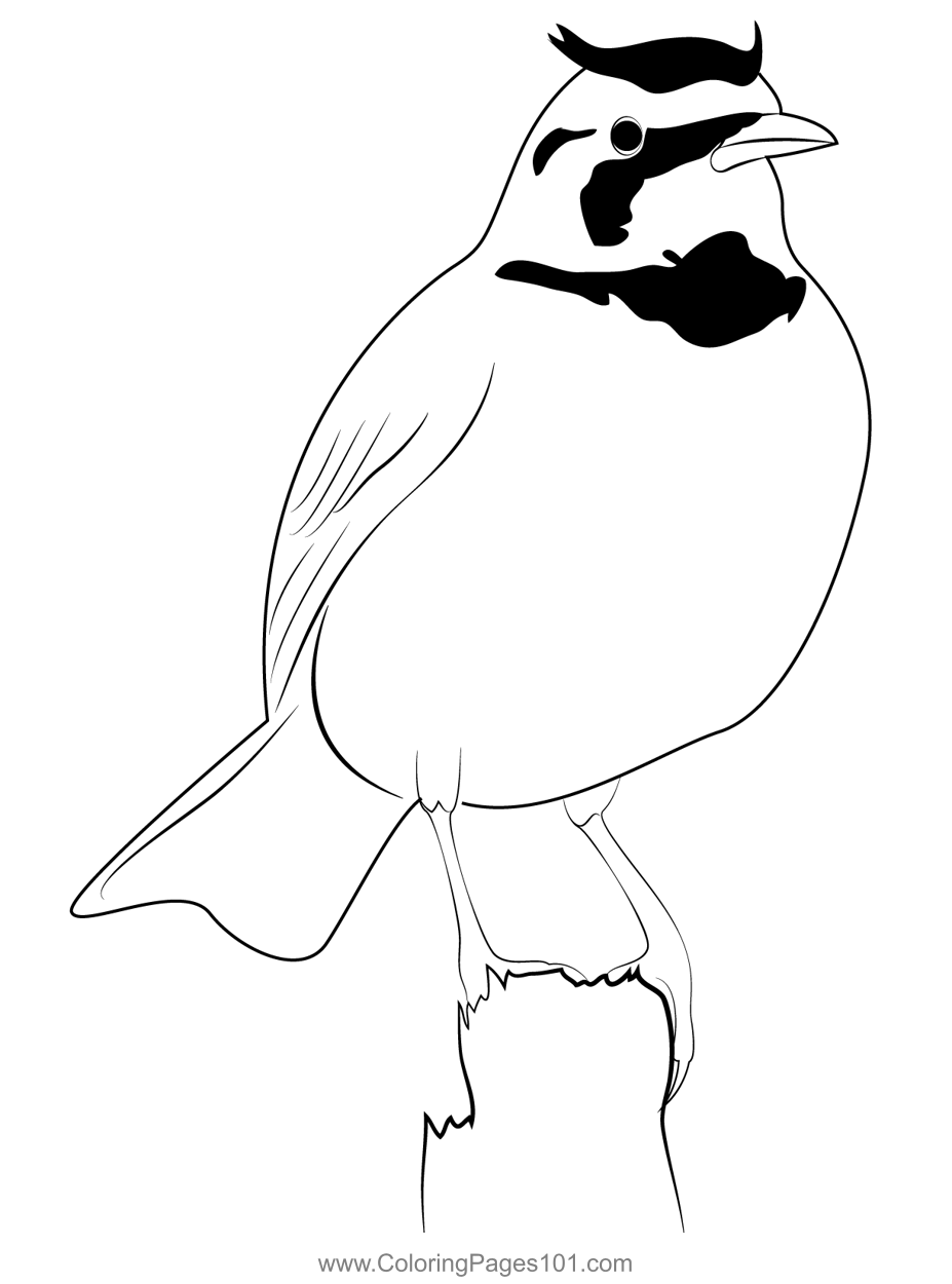 Horned Lark Coloring Page for Kids - Free Larks Printable Coloring ...