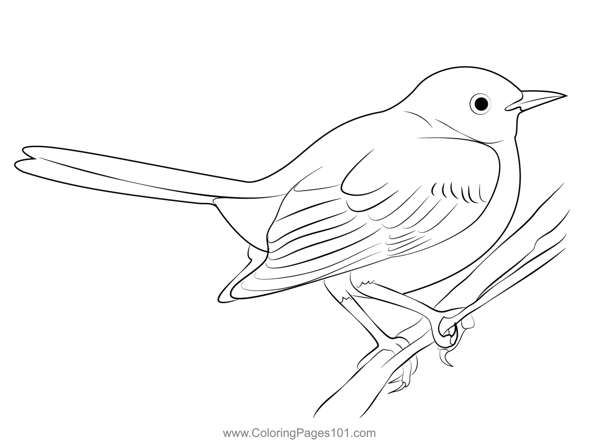 Awesome Mockingbird Coloring Page for Kids - Free Mockingbirds ...