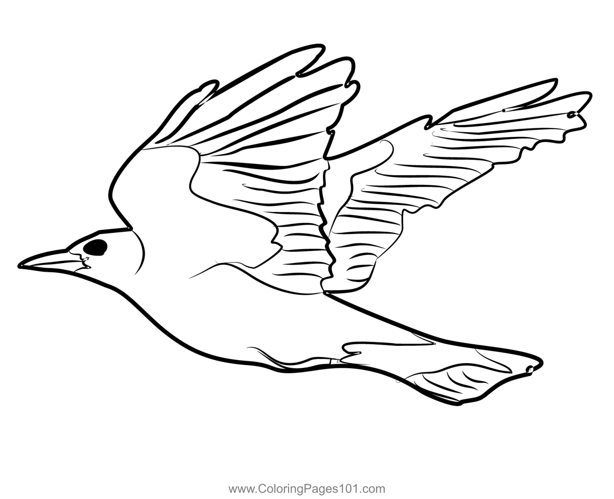 Golden Oriole 4 Coloring Page for Kids - Free Orioles Printable ...