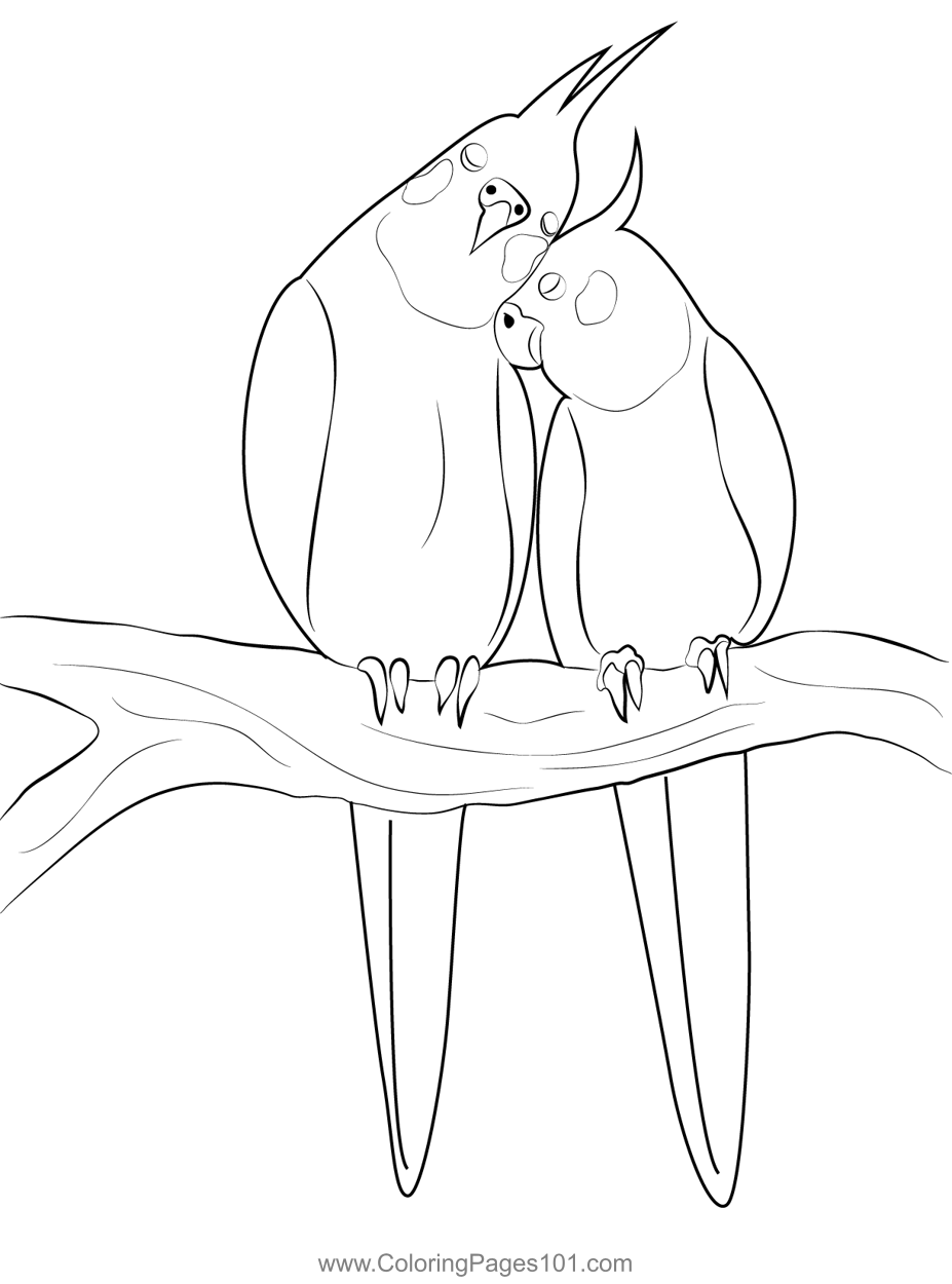 A Bird Love Coloring Page for Kids - Free Parrots Printable Coloring ...