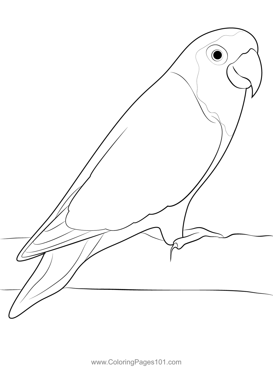 Bird Love Coloring Page for Kids - Free Parrots Printable Coloring ...
