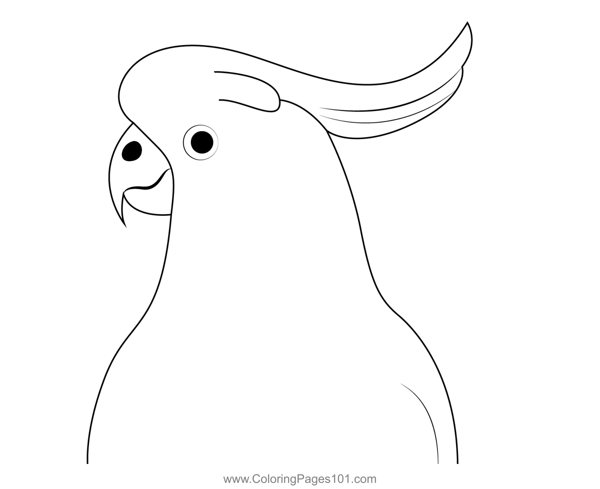 Cockatiel Head Coloring Page for Kids - Free Parrots Printable Coloring ...