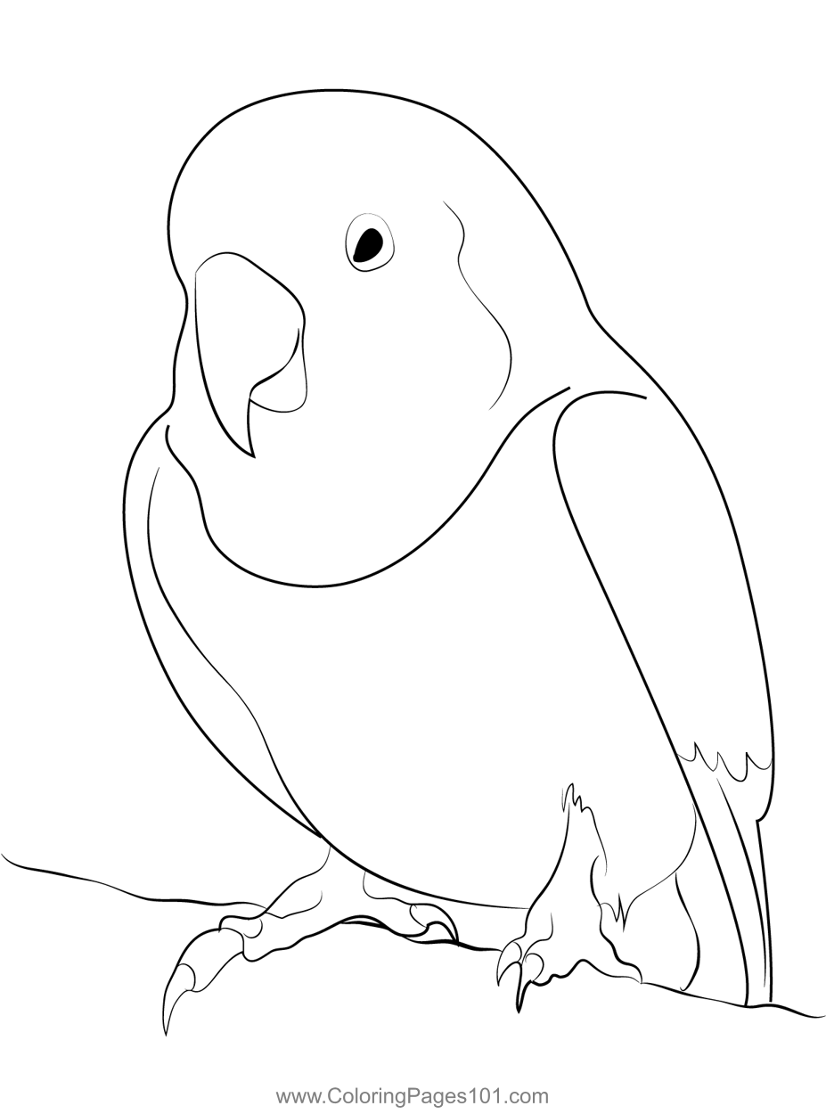 Little Love Bird Coloring Page for Kids - Free Parrots Printable ...