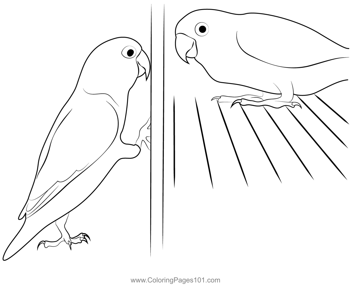 Love Bird 1 Coloring Page for Kids - Free Parrots Printable Coloring ...