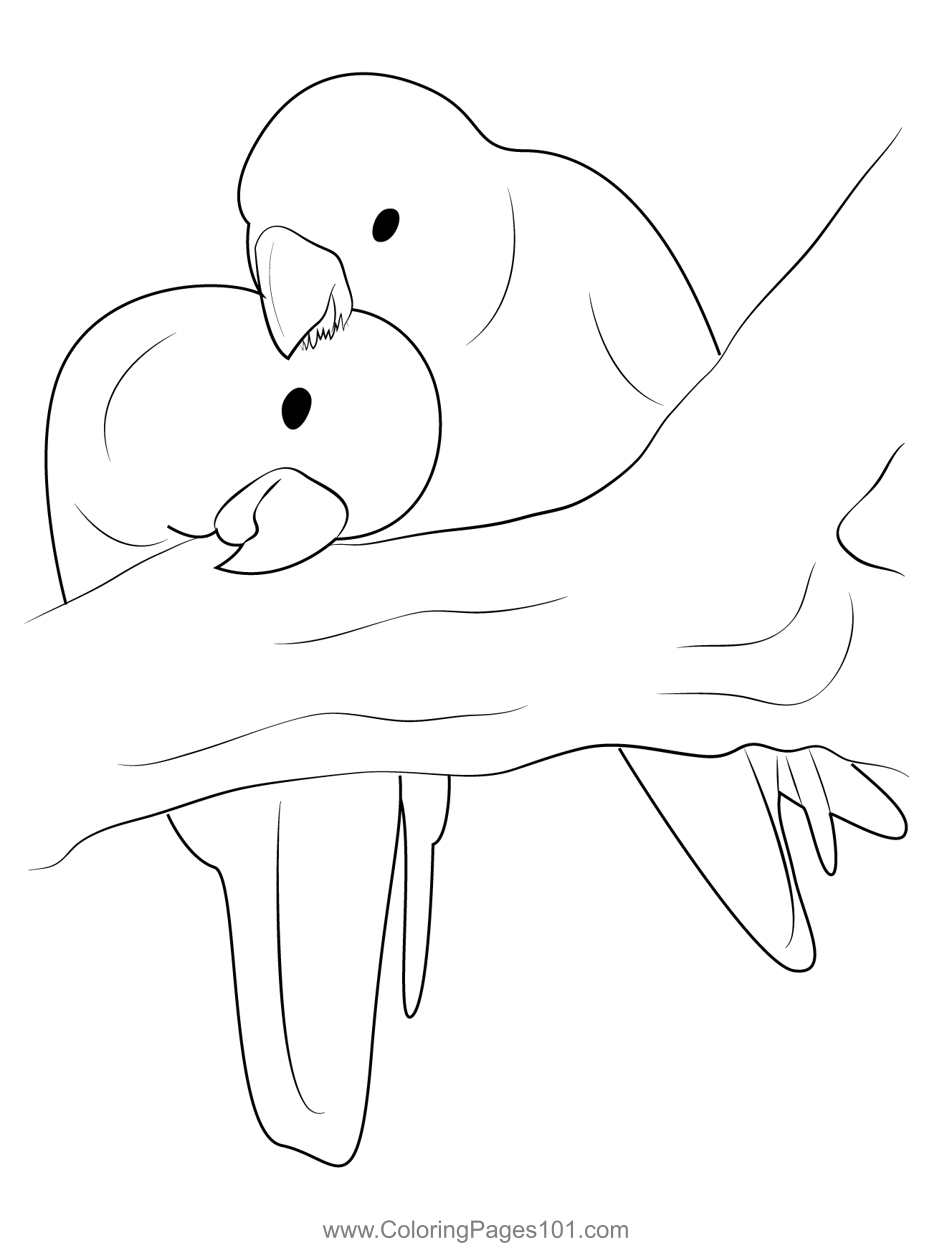 Love Bird 3 Coloring Page for Kids - Free Parrots Printable Coloring ...
