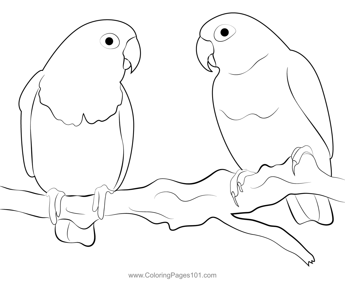 Love Bird Very Cute Coloring Page for Kids - Free Parrots Printable ...