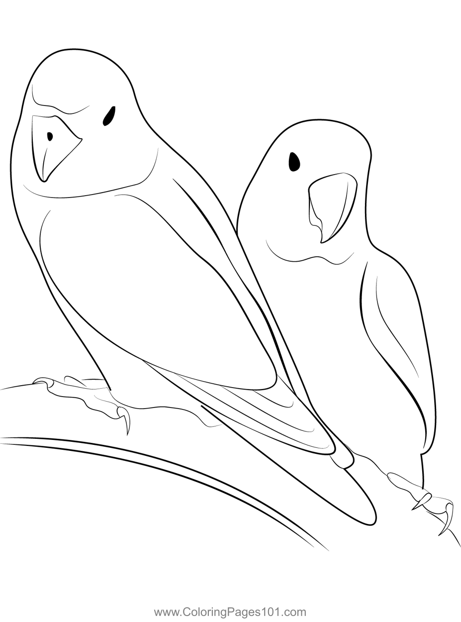 Love Birds 2 Coloring Page for Kids - Free Parrots Printable Coloring ...