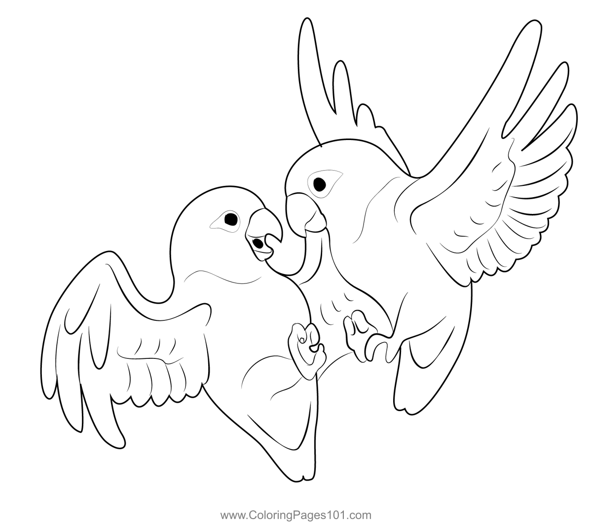Love Bird Outline