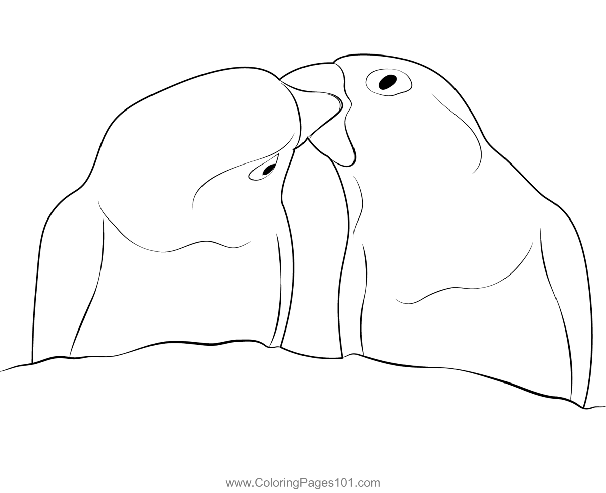Love Birds Kissing Coloring Page for Kids - Free Parrots Printable ...