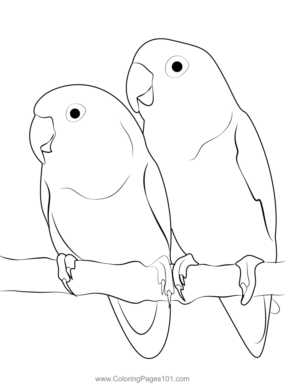 Love Birds Perched On A Branch Coloring Page for Kids - Free Parrots ...