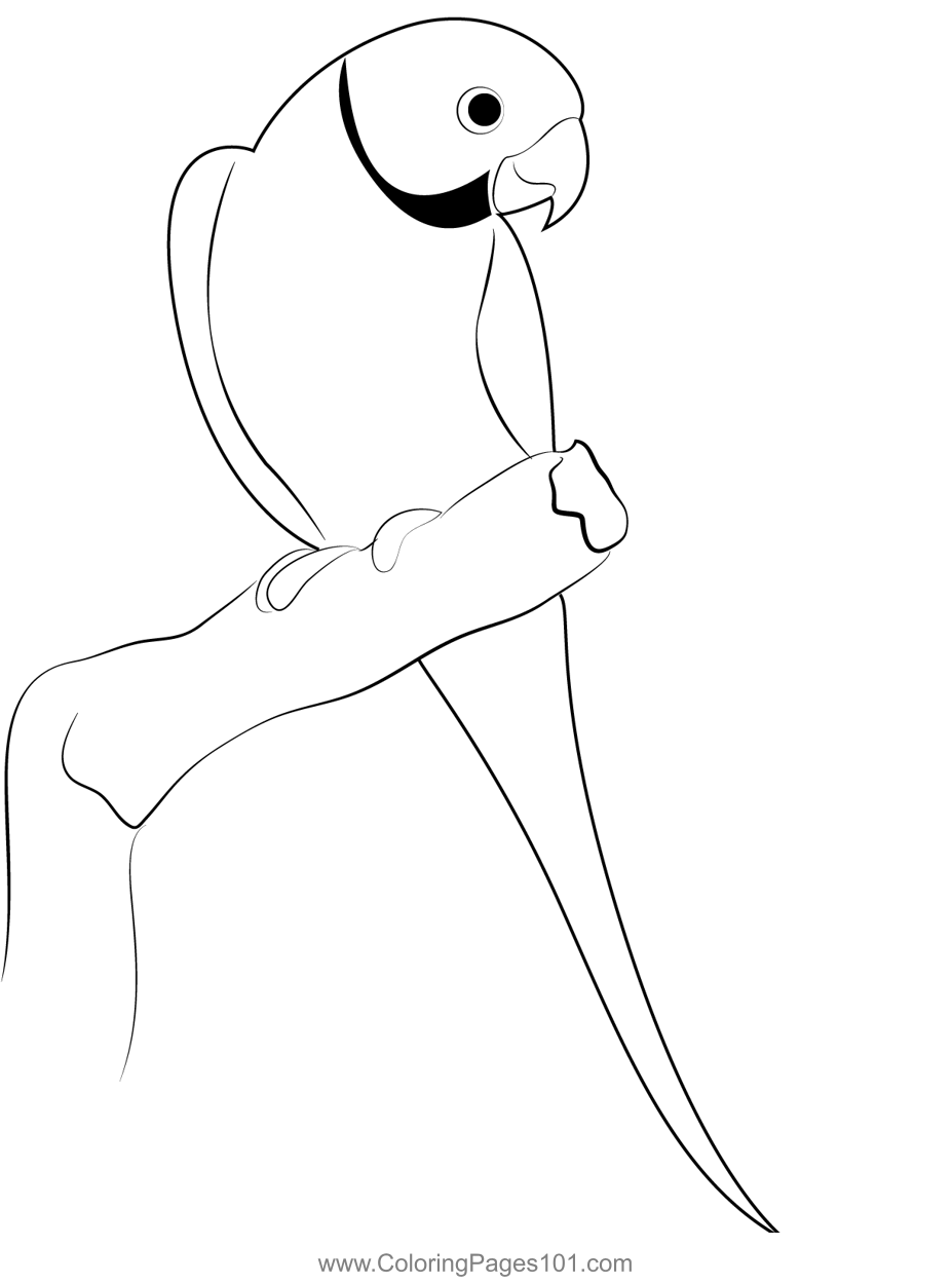 Plum Head Parrot Coloring Page for Kids - Free Parrots Printable ...