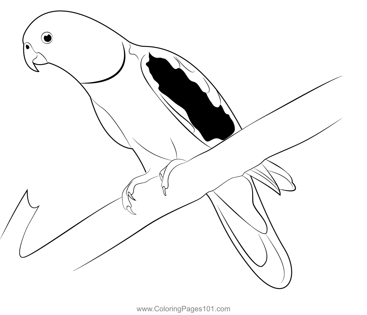 Red Wing Parrot On Tree Coloring Page for Kids - Free Parrots Printable ...