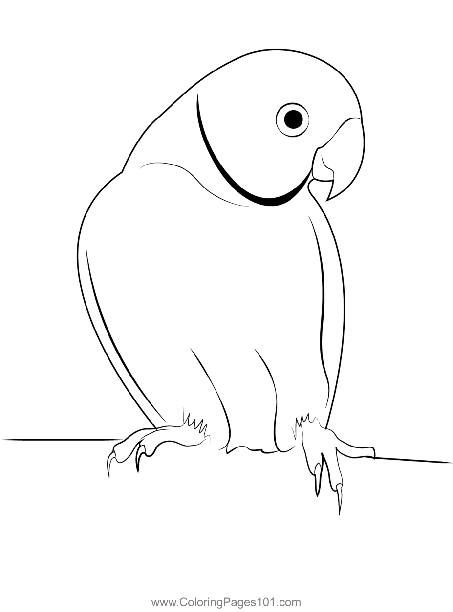 Talking Parrot Coloring Page for Kids - Free Parrots Printable Coloring ...
