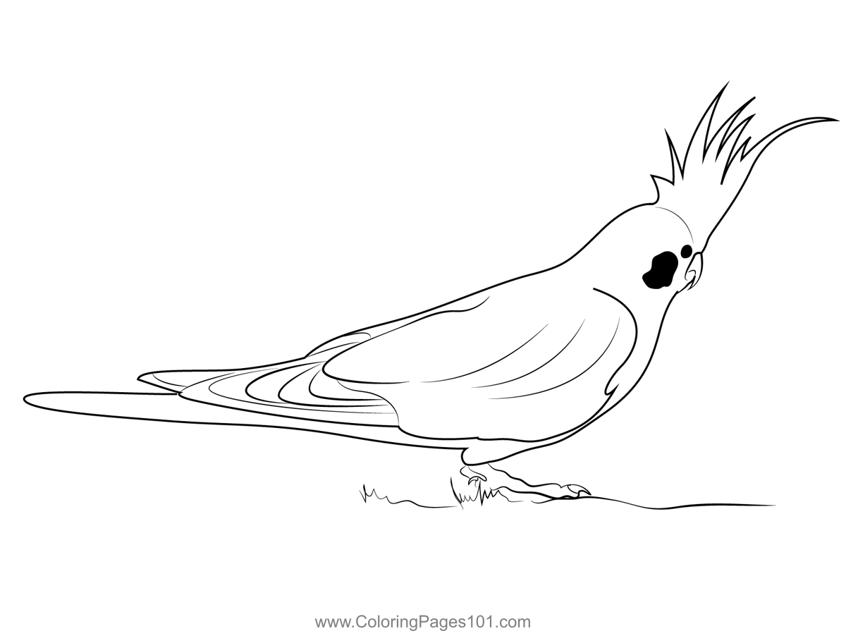 Yellow Cockatiel Coloring Page for Kids - Free Parrots Printable ...