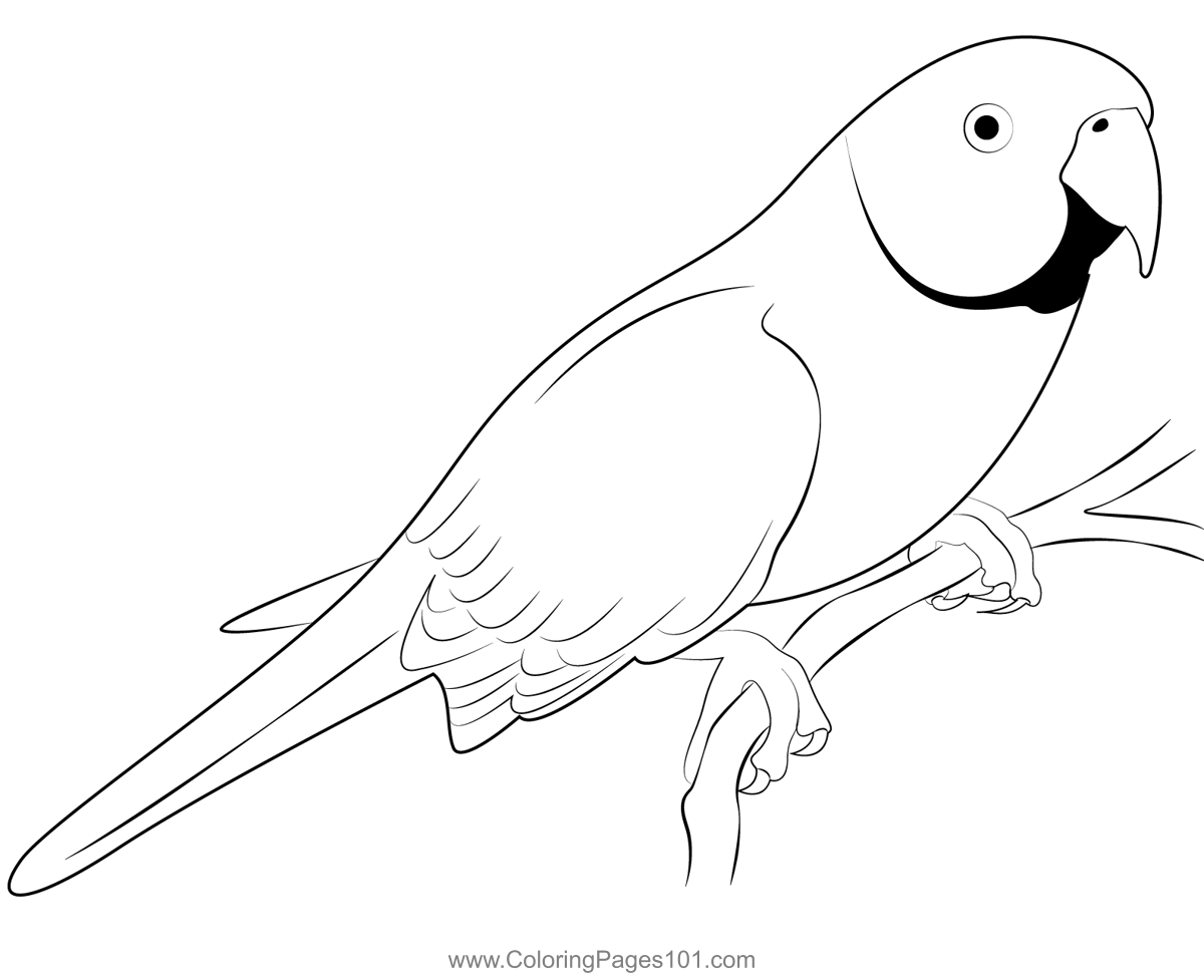 Yellow Parrot Coloring Page for Kids - Free Parrots Printable Coloring ...