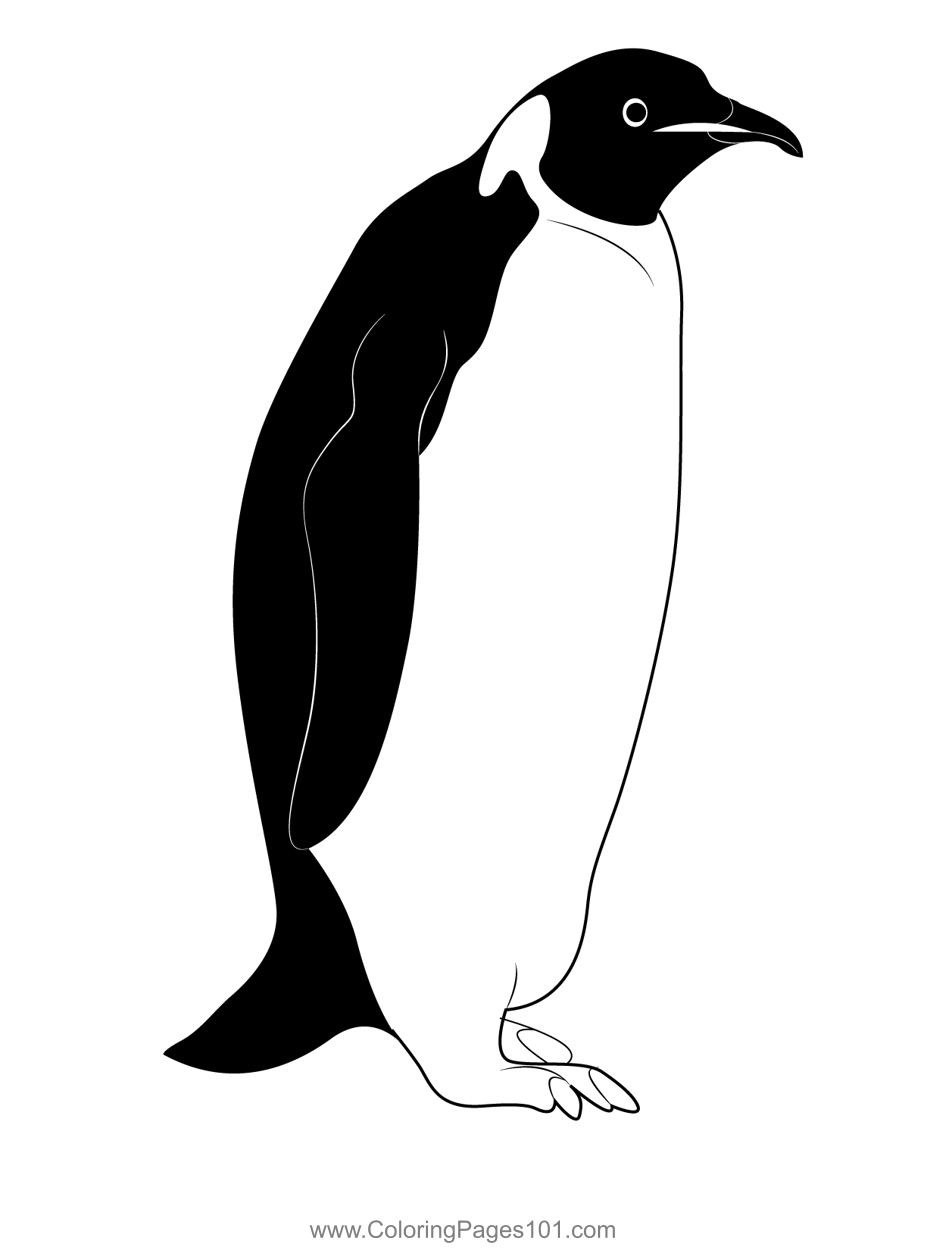 Penguins Coloring Page for Kids - Free Penguins Printable Coloring ...