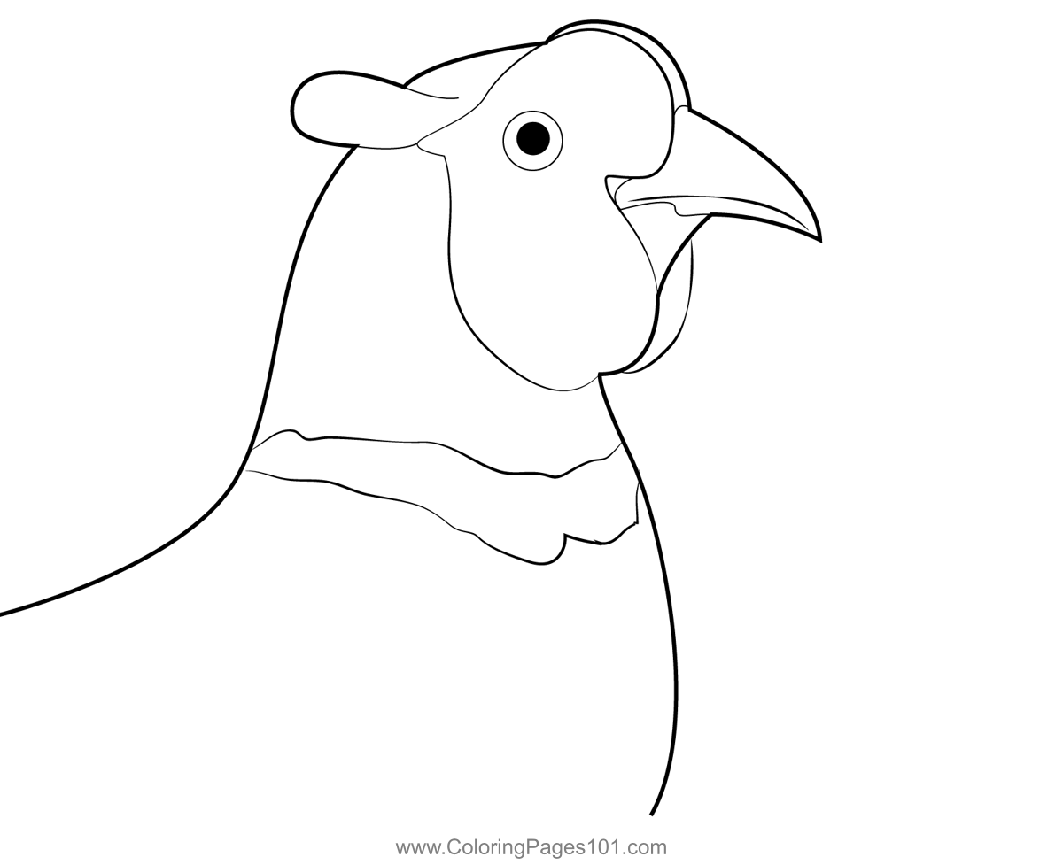 Head Ring Necked Pheasant Coloring Page for Kids - Free Pheasants and ...