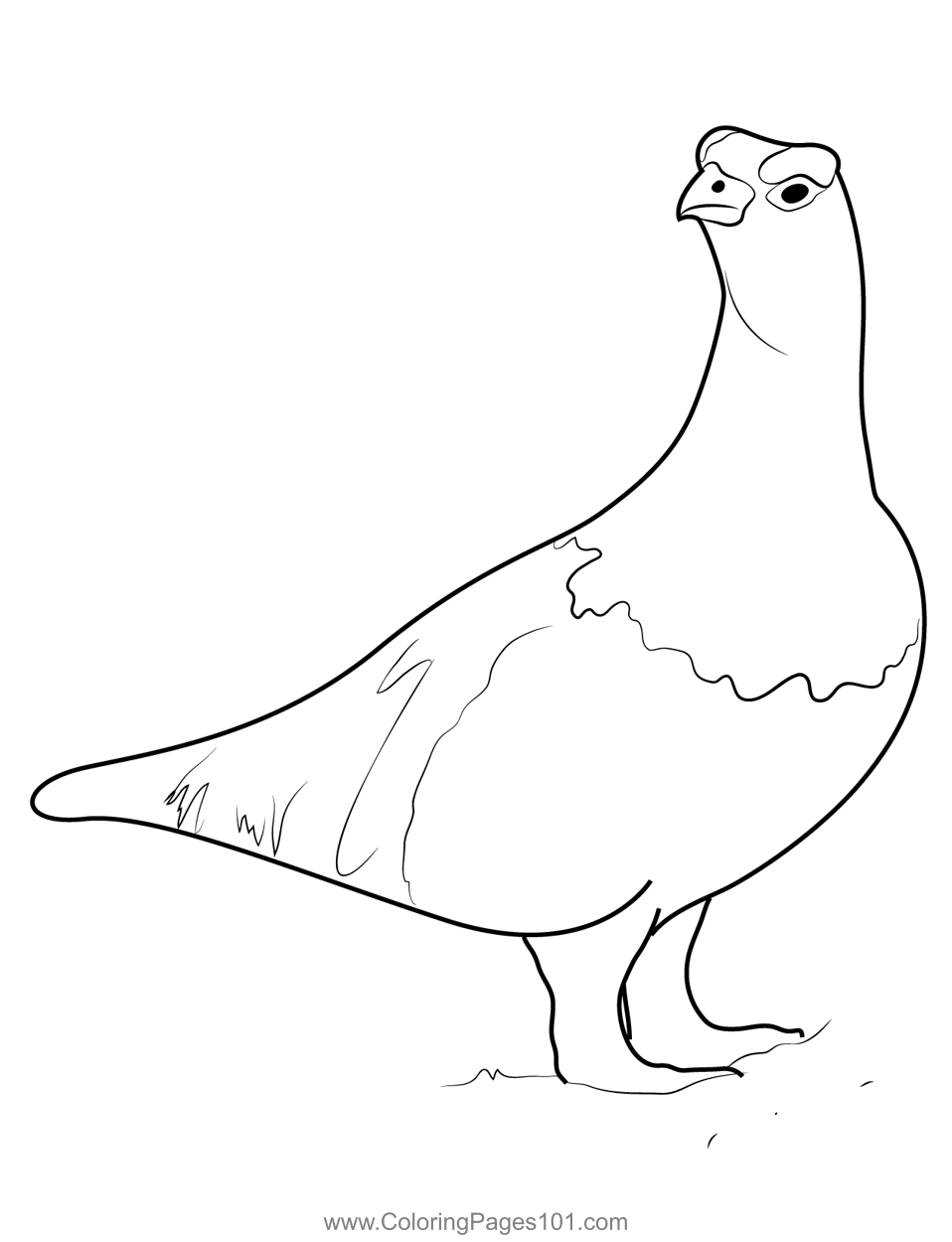Willow Ptarmigan In Snow Coloring Page for Kids - Free Pheasants and ...