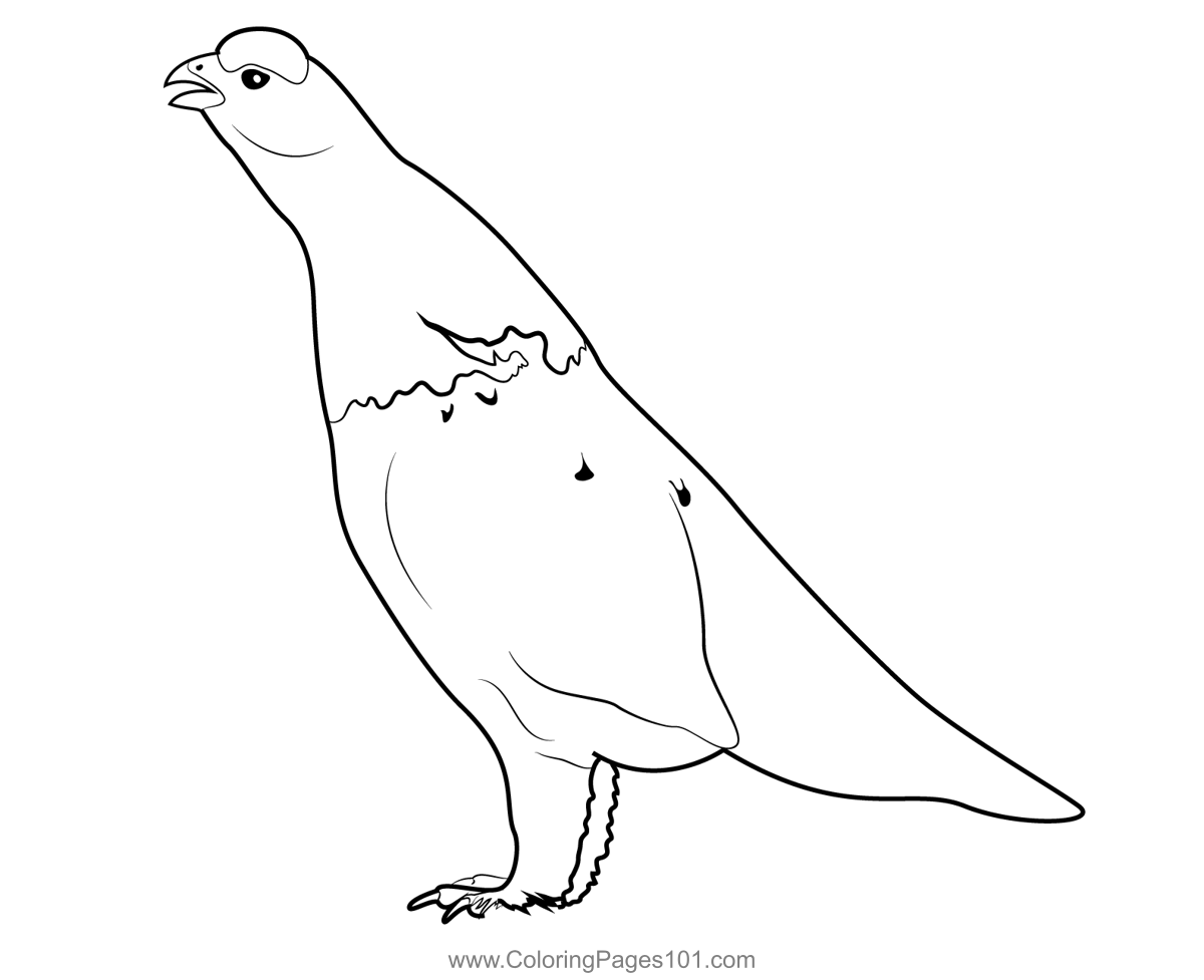 Willow Ptarmigan Male Coloring Page for Kids - Free Pheasants and ...