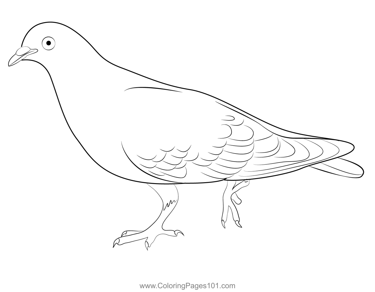 Beautiful Pigeon Coloring Page for Kids - Free Pigeons and Doves ...
