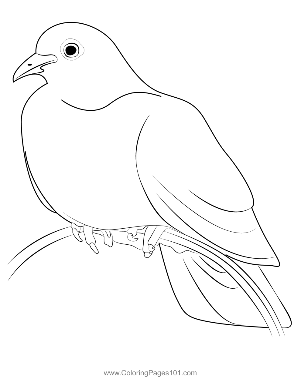 Beautiful White Dove Coloring Page for Kids - Free Pigeons and Doves ...