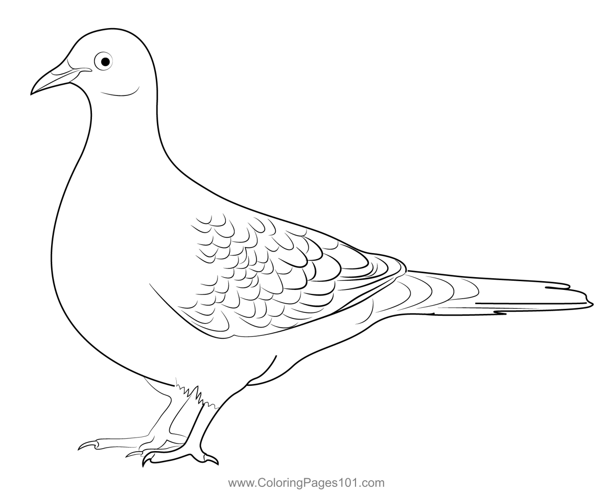 Pigeon Wallpaper Coloring Page for Kids - Free Pigeons and Doves ...