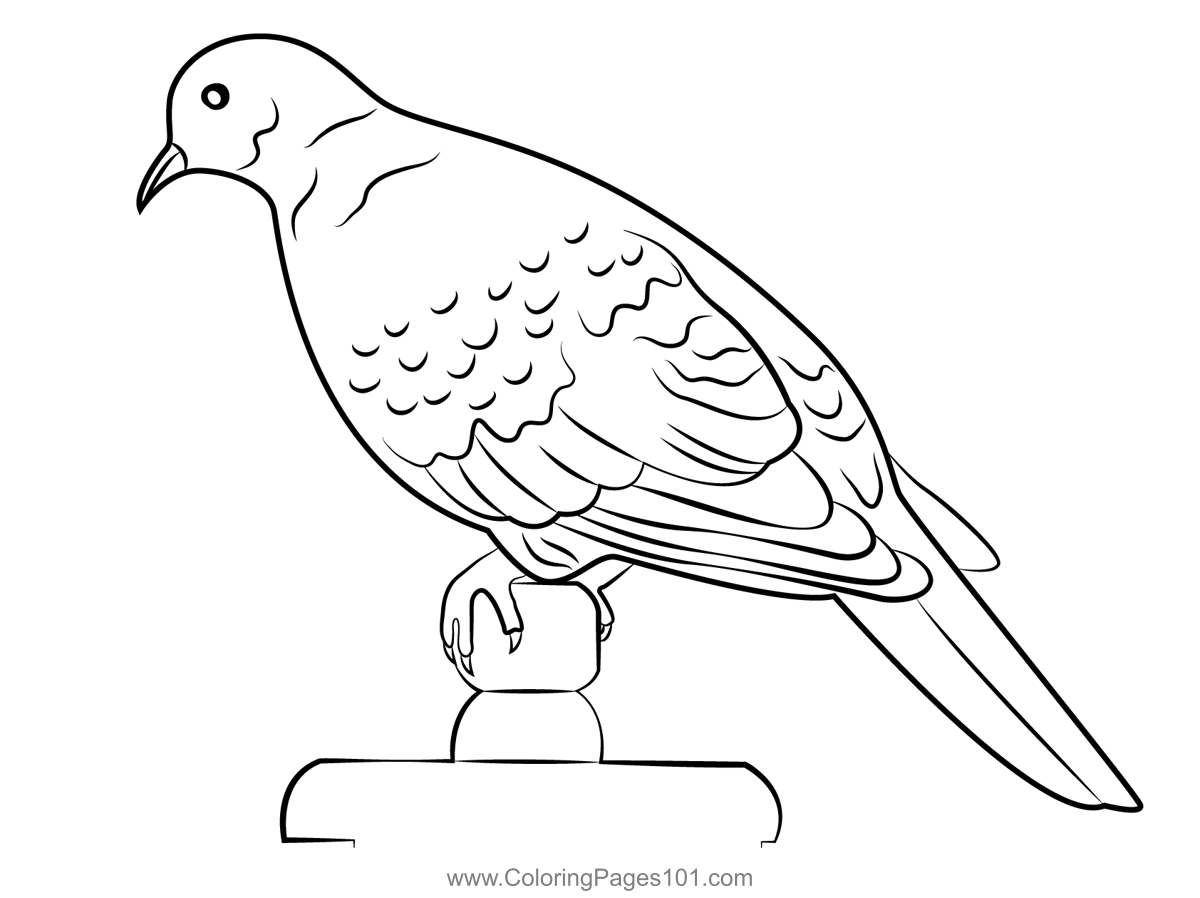 Sitting Collared Dove Coloring Page for Kids - Free Pigeons and Doves ...