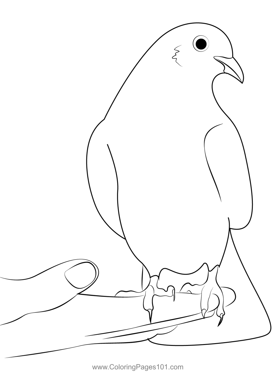 White Dove Resting On A Hand Coloring Page for Kids - Free Pigeons and ...