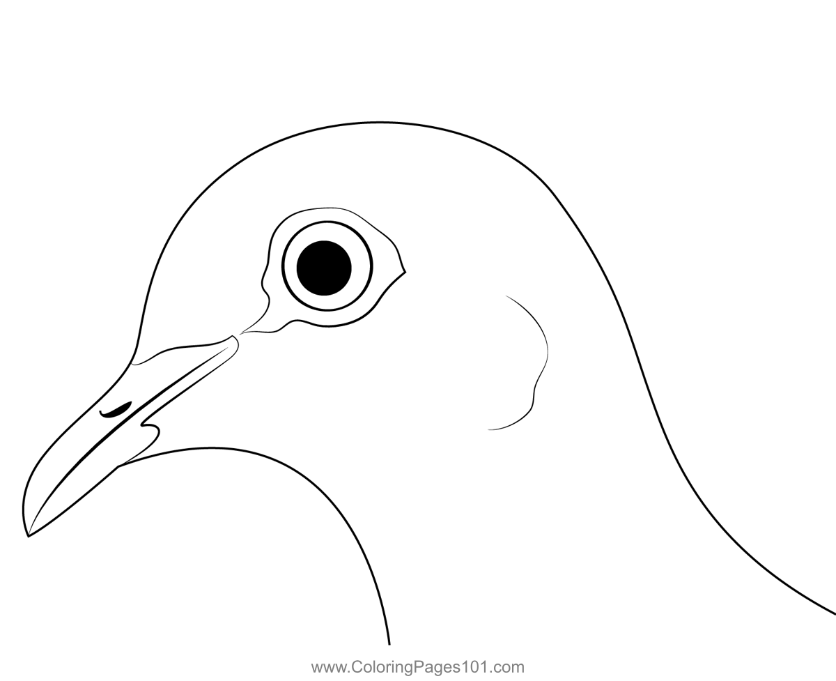 White Dove Ring Enhanced Coloring Page for Kids - Free Pigeons and ...