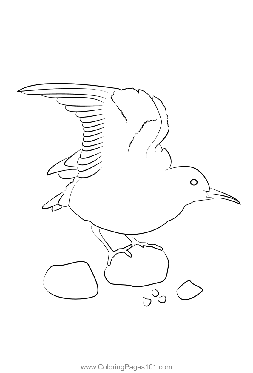 Common Sandpiper 6 Coloring Page for Kids - Free Sandpipers Printable ...