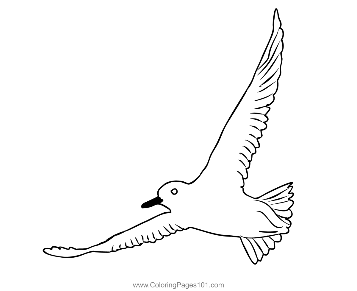 Dunlin 4 Coloring Page for Kids - Free Sandpipers Printable Coloring ...