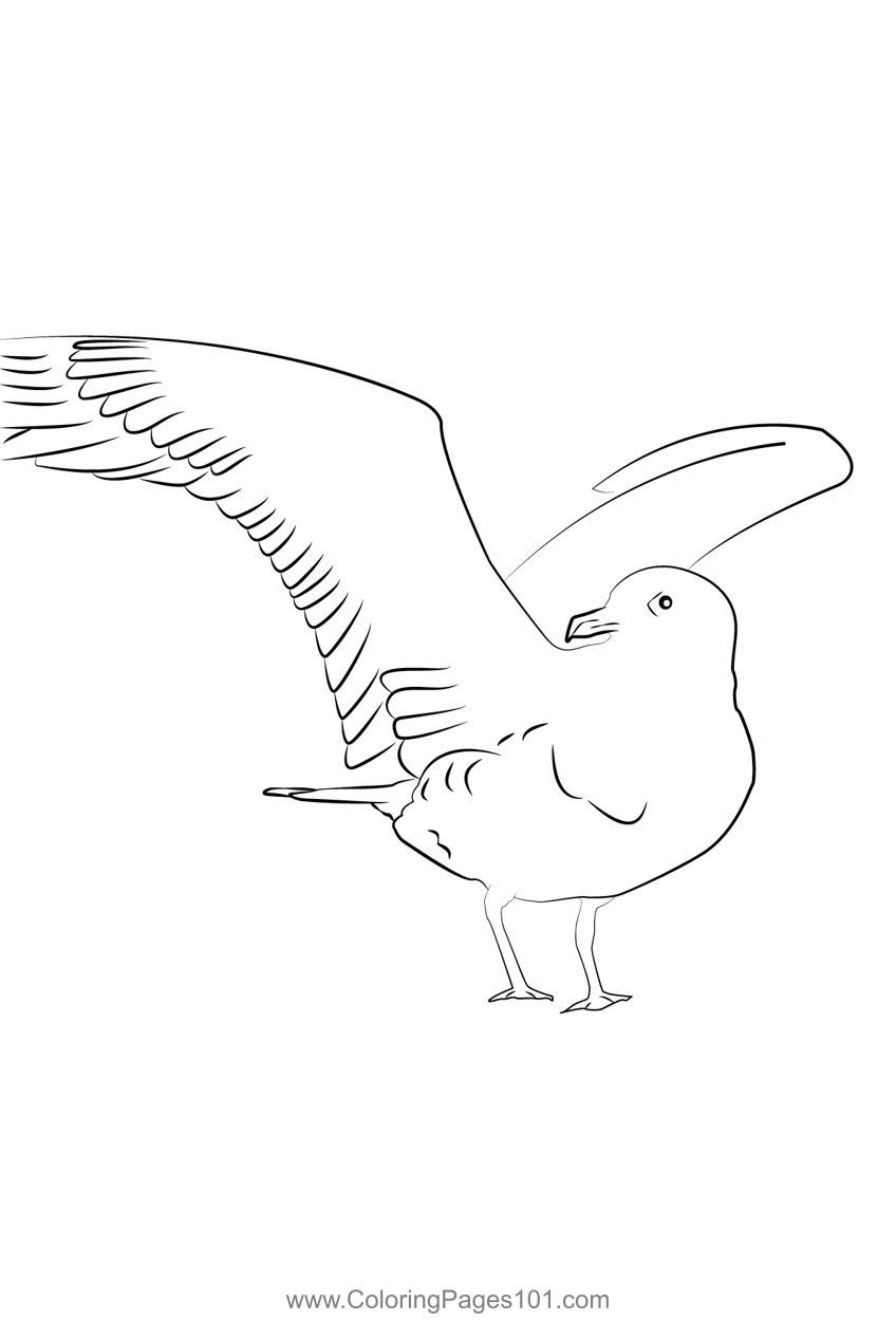 Arctic Skua 11 Coloring Page for Kids - Free Skuas Printable Coloring ...