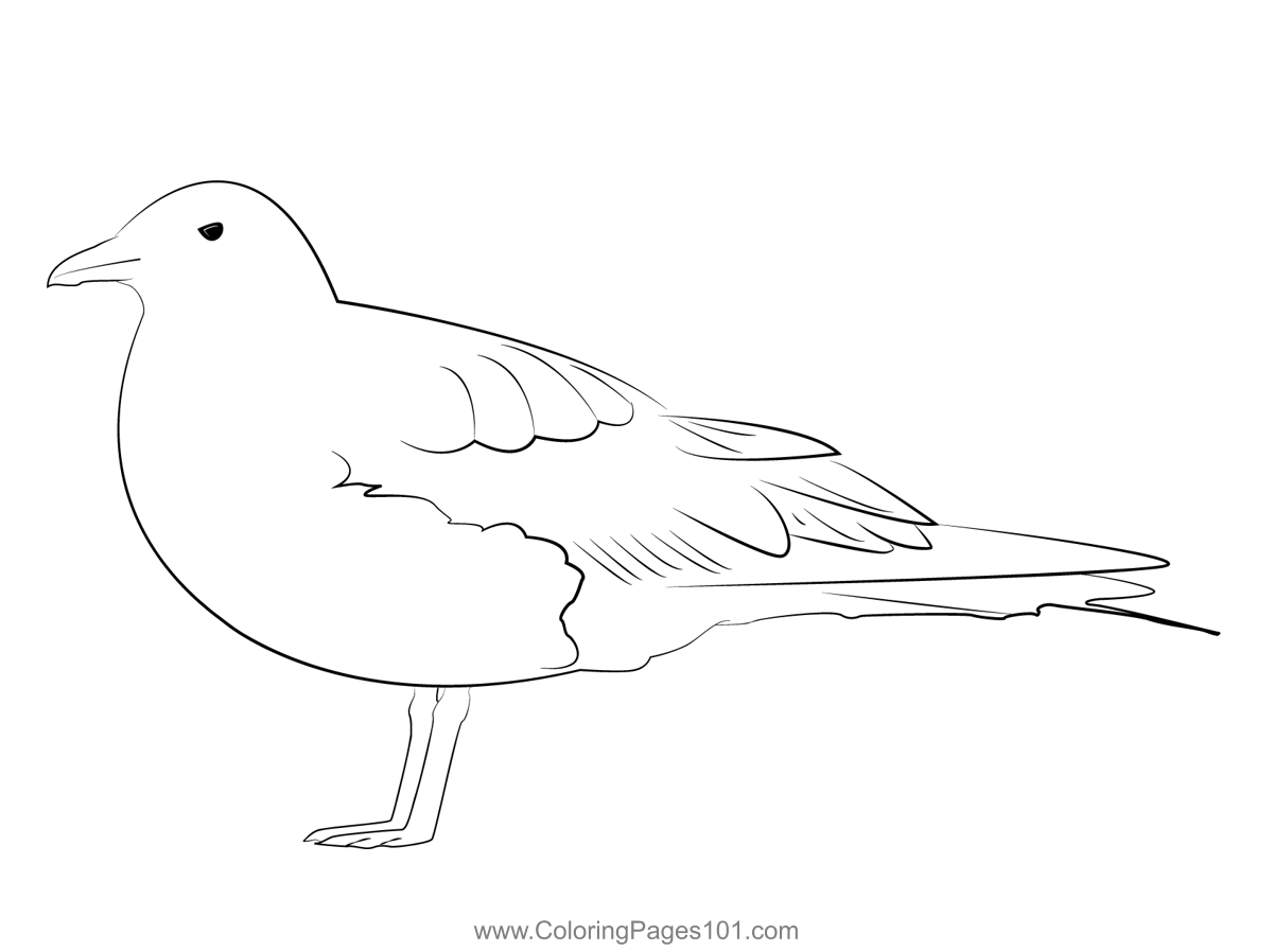 Arctic Skua 5 Coloring Page for Kids - Free Skuas Printable Coloring ...