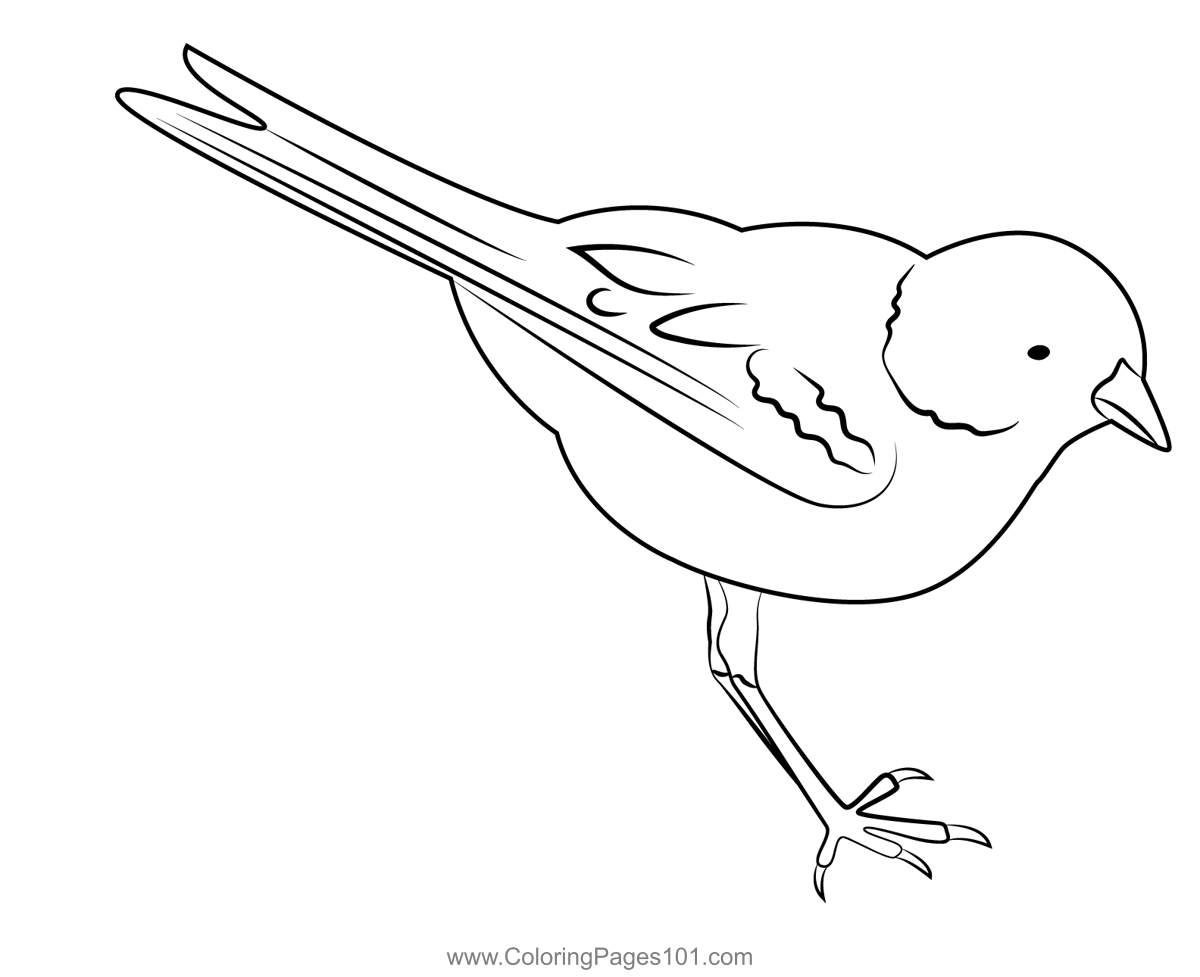 Beautiful Sparrow Coloring Page for Kids - Free Sparrows Printable ...