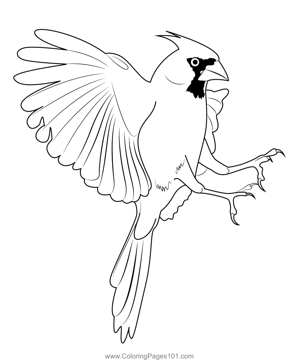 Cardinal 4 Coloring Page for Kids - Free Sparrows Printable Coloring ...