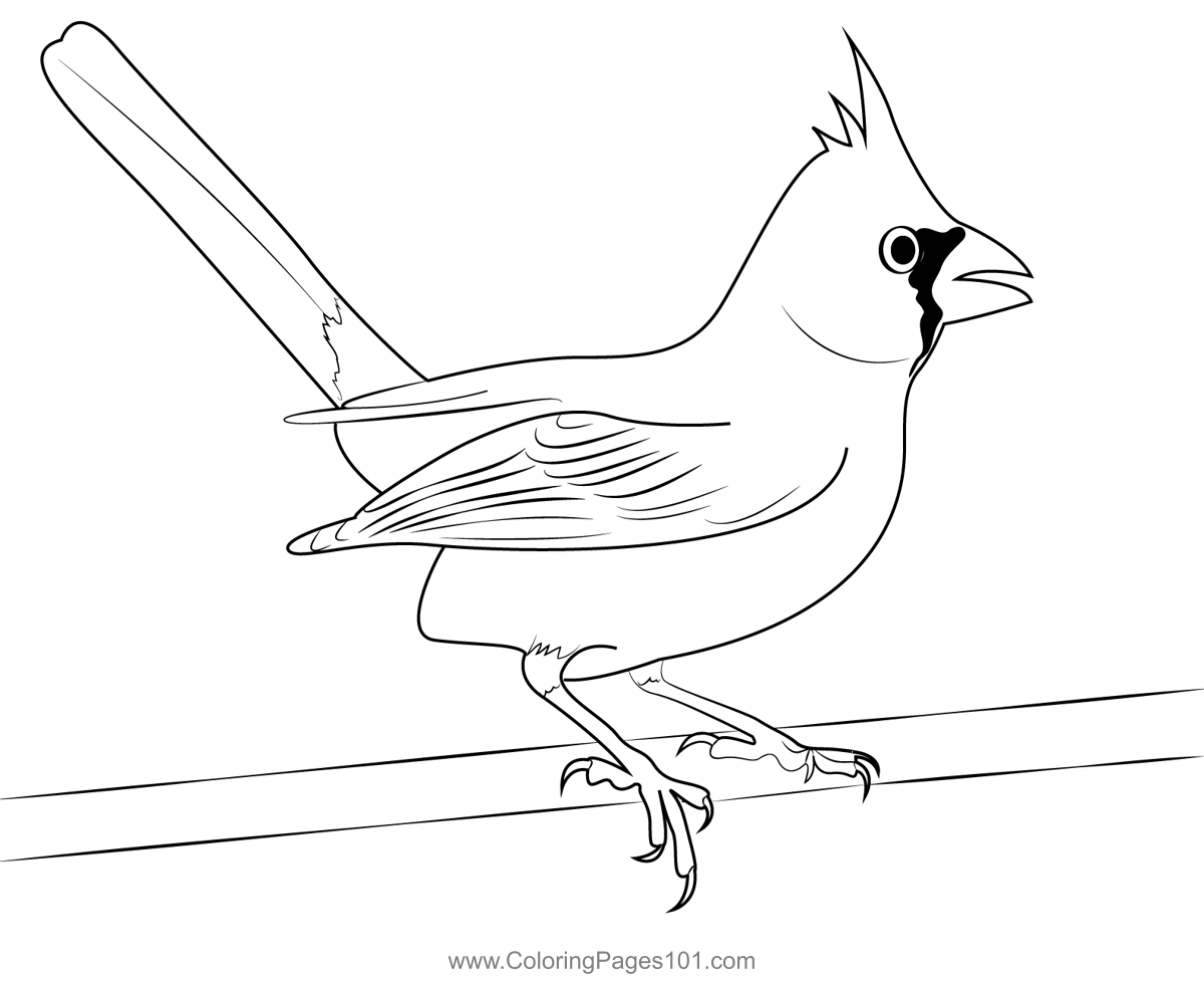 Cardinal 6 Coloring Page for Kids - Free Sparrows Printable Coloring ...