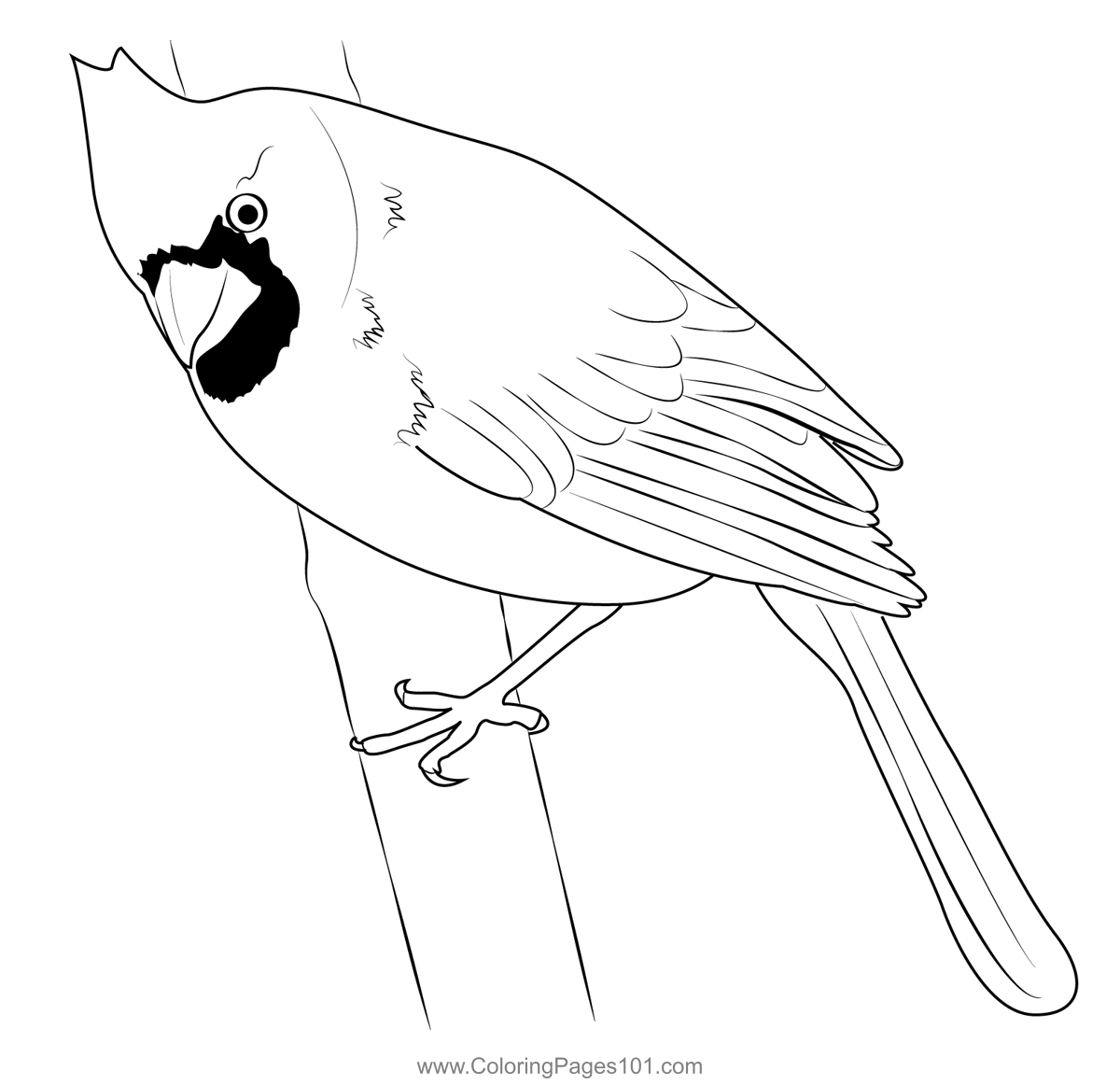 Cardinal 7 Coloring Page for Kids - Free Sparrows Printable Coloring ...