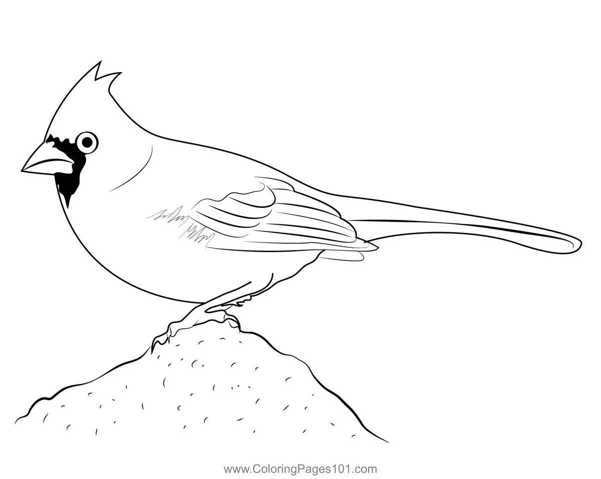 Female Cardinal Bird Coloring Page for Kids - Free Sparrows Printable ... Female Cardinal Bird Coloring Page for Kids - Free Sparrows Printable ...