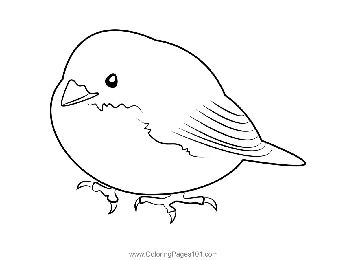 Sparrow Coloring Pages