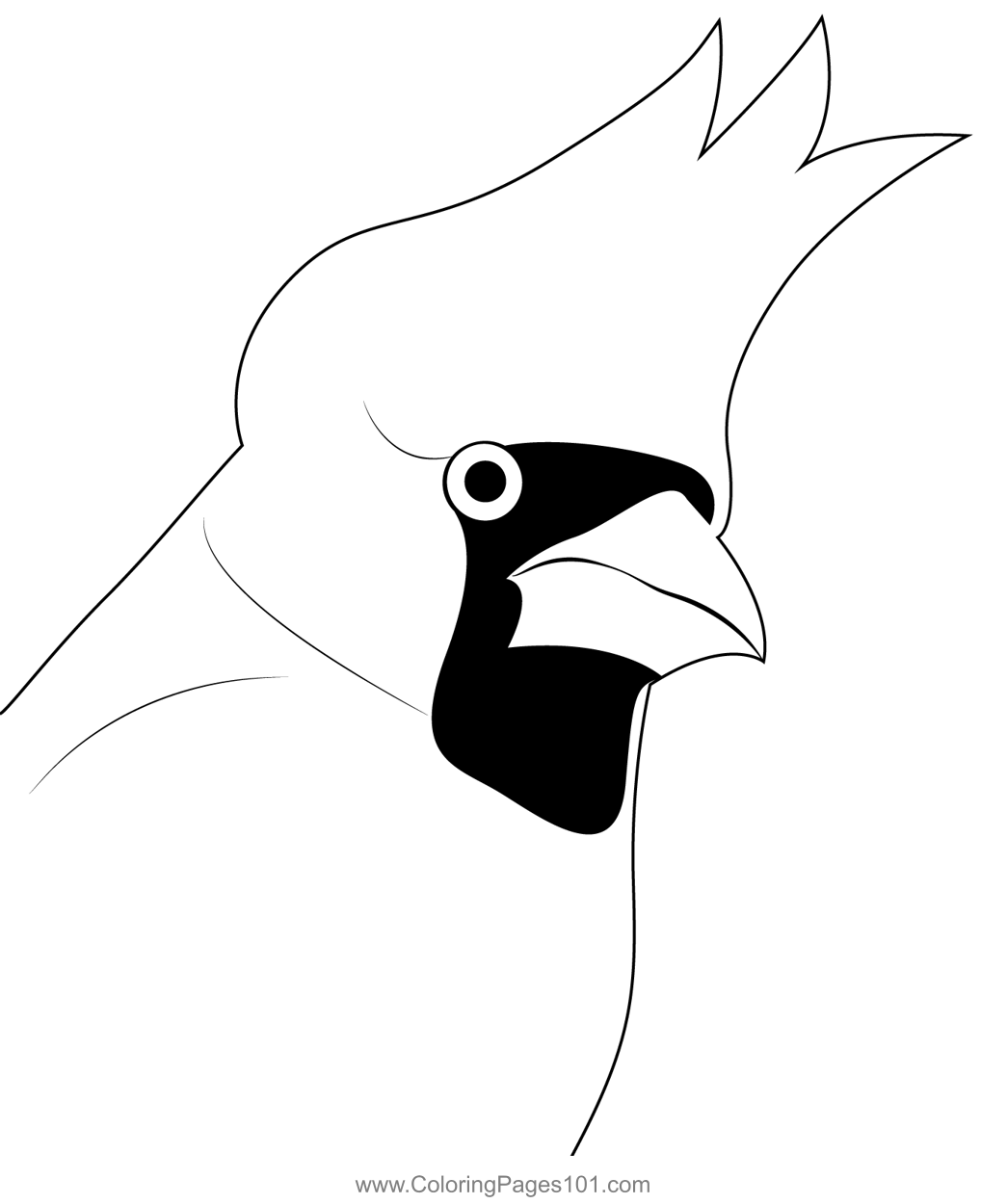 Northern Cardinal Face Coloring Page for Kids - Free Sparrows Printable ...