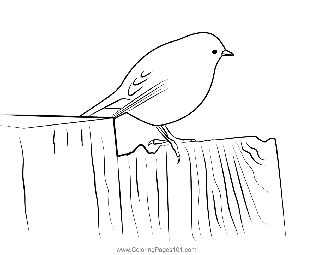 Small Sparrow Coloring Page for Kids - Free Sparrows Printable Coloring ...