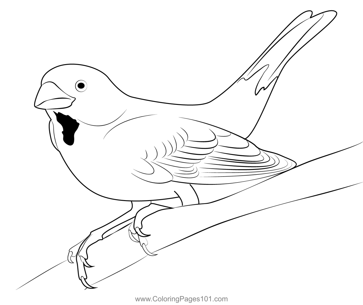 Sparrow 4 Coloring Page for Kids - Free Sparrows Printable Coloring ...