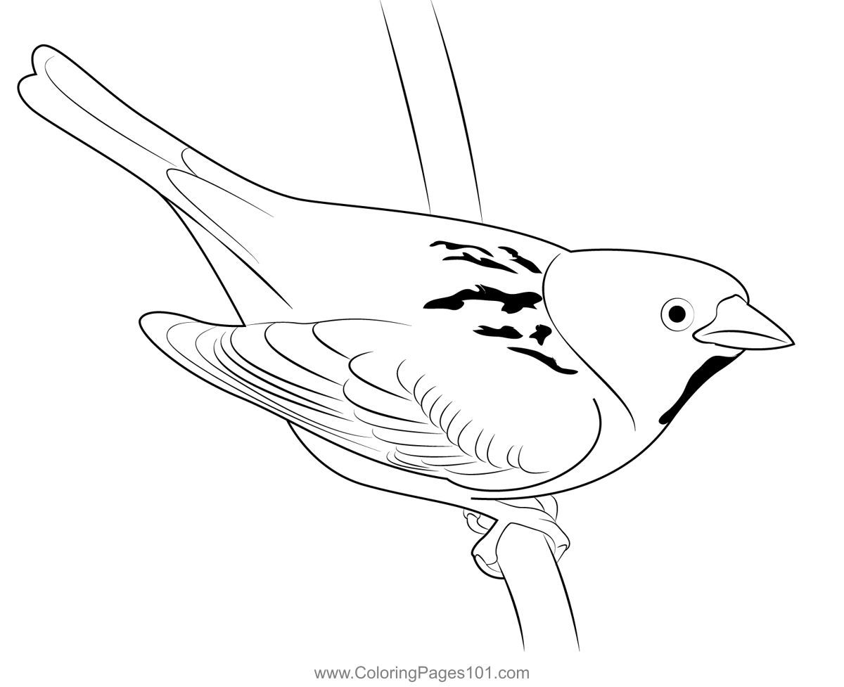 Sparrow 5 Coloring Page for Kids - Free Sparrows Printable Coloring ...